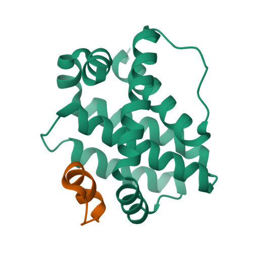 RCSB PDB - 9CDT: Crystal Structure of MCL-1-Peptide Complex