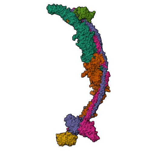 RCSB PDB - 9CE3: Structure of the TSC:WIPI3 lysosomal recruitment complex