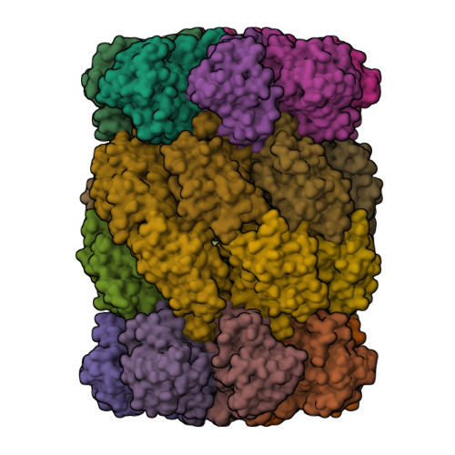 RCSB PDB - 9CEB: 20S Proteasome core particle beta-T1A mutant