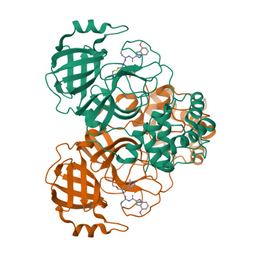 RCSB PDB - 9CED: SARS-CoV-2 3CL Protease complexed with covalent ...