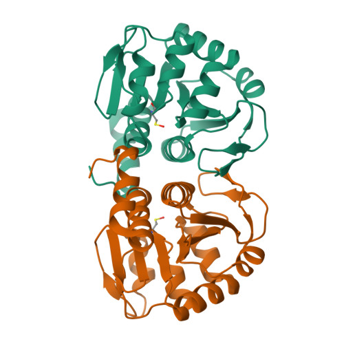 RCSB PDB - 9CEI: Human DJ-1, no mixing, pink beam time-resolved serial ...