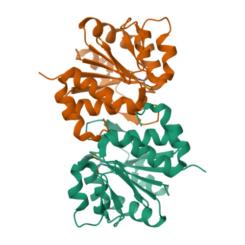 RCSB PDB - 9CG0: Human DJ-1, 30 sec mixing with methylglyoxal, pink ...