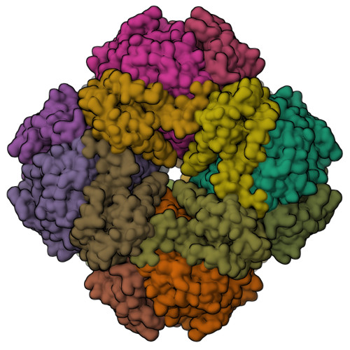 RCSB PDB - 9CHZ: Anthoceros agrestis Rubisco assembled with Raf1 Raf2 ...