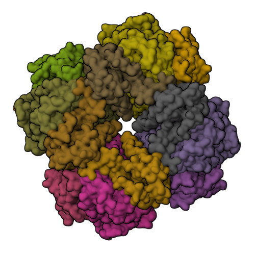 RCSB PDB - 9CI2: Anthoceros agrestis Rubisco octamer core complexed ...