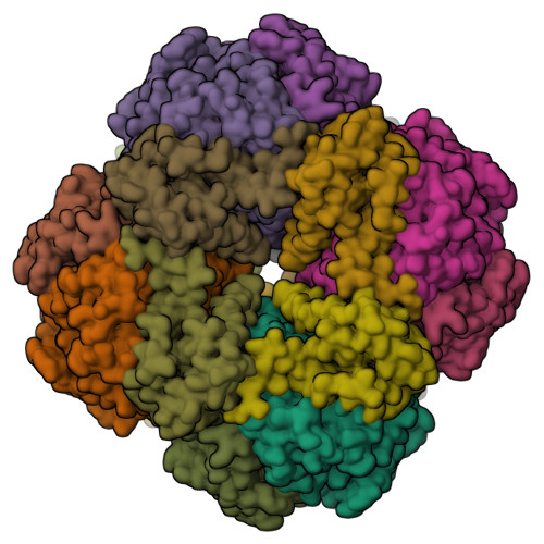 RCSB PDB - 9CK5: Anthoceros agrestis Rubisco assembled with RbcX1 ...