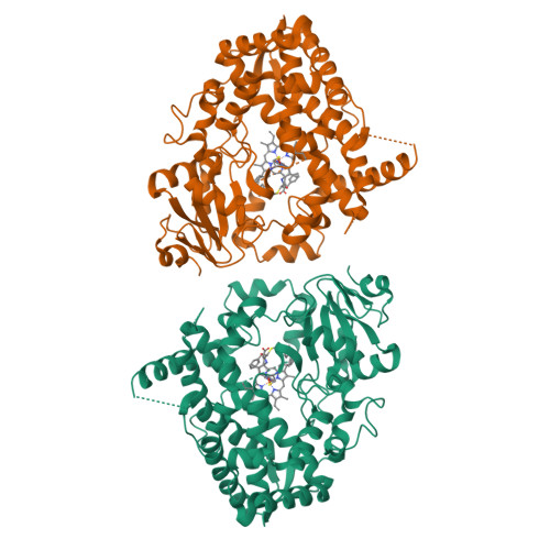 RCSB PDB - 9COY: Crystal structure of CYP3A4 bound to an inhibitor