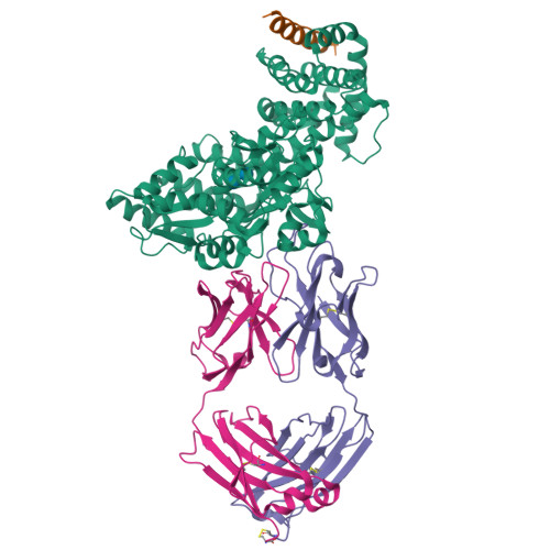 RCSB PDB - 9CPH: Structural basis of BAK sequestration by MCL-1 and ...