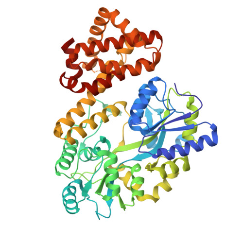 RCSB PDB - 9CPH: Structural basis of BAK sequestration by MCL-1 and ...