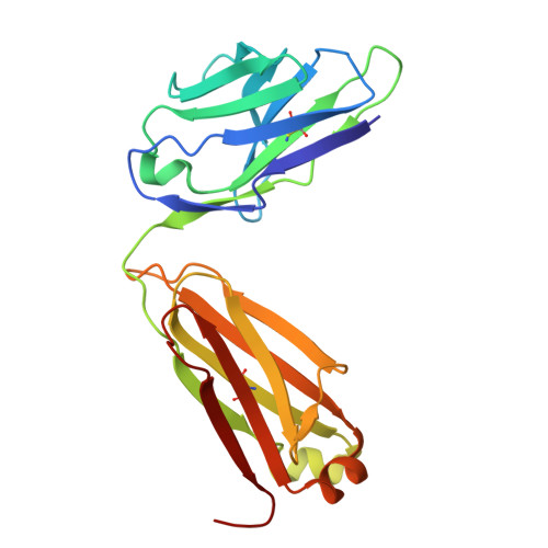 RCSB PDB - 9CPH: Structural basis of BAK sequestration by MCL-1 and ...