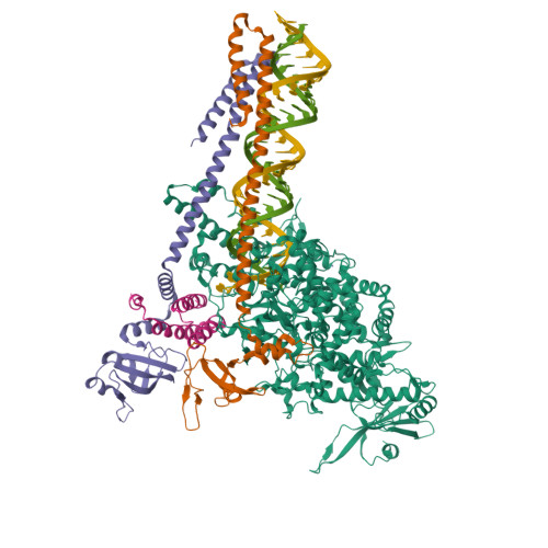 RCSB PDB - 9CPO: Infectious bronchitis virus core polymerase complex