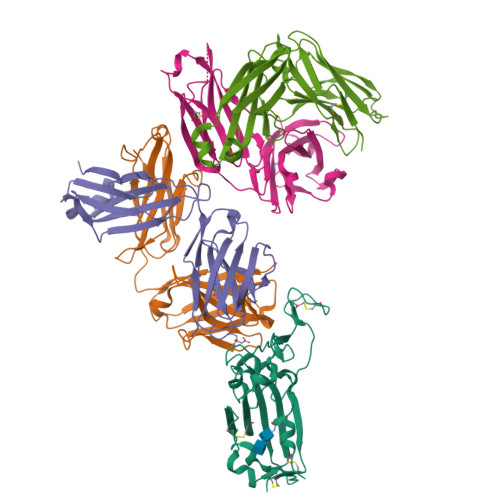 RCSB PDB - 9CPR: Crystal structure of SARS-CoV-2 receptor binding ...