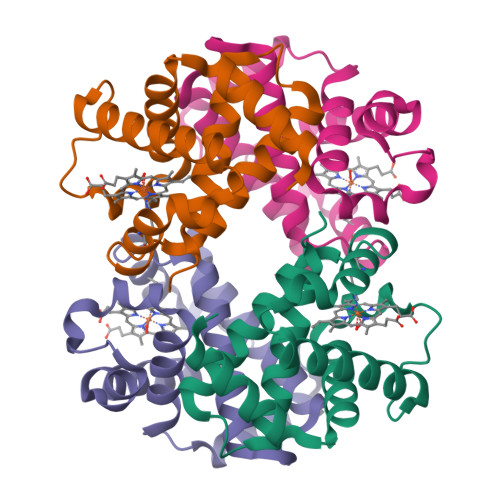 RCSB PDB - 9CQS: Human OxyHb (C1 symmetry) obtained using the SPT ...