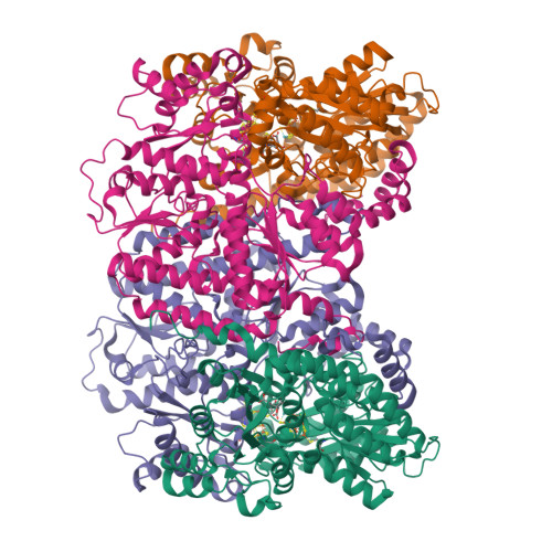 RCSB PDB - 9CQX: Azotobacter vinelandii Oxidized MoFeP (C1 symmetry ...