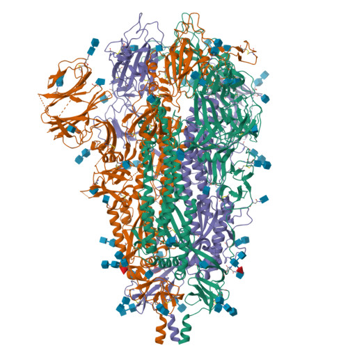 RCSB PDB - 9CRE: Cryo-EM structure of SARS-CoV-2 Spike Proteins on ...