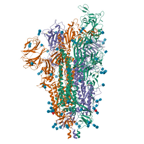 RCSB PDB - 9CRF: Cryo-EM structure of SARS-CoV-2 Spike Proteins on ...