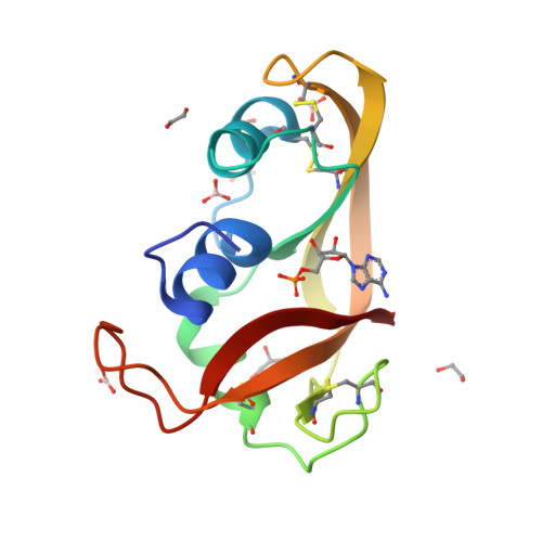 RCSB PDB - 9CSN: Crystal structure of human ribonuclease 7 (RNase 7) in ...