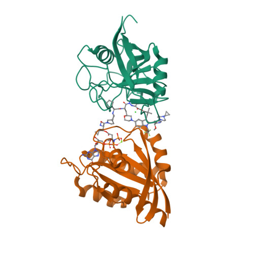 RCSB PDB - 9CTB: Tri-complex of zoldonrasib (RMC-9805), KRAS G12D, and CypA