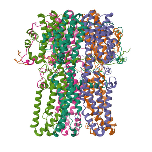 RCSB PDB - 9CTR: Best1 + GABA intermediate state 1