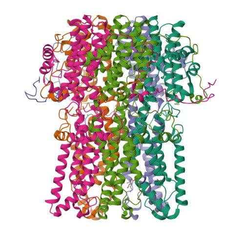 RCSB PDB - 9CTS: Best1 + GABA intermediate state 2