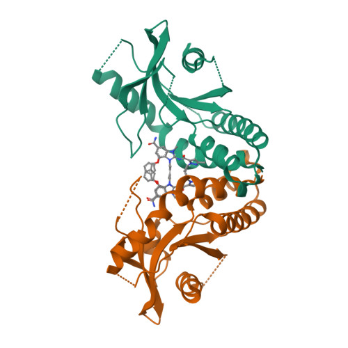 RCSB PDB - 9CUD: Human STING G230A/R293Q variant bound to diABZI-i