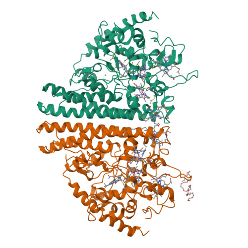 RCSB PDB - 9CUF: Room temperature SSX structure of ccNiR