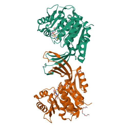 RCSB PDB - 9CVB: Crystal structure of human ribokinase in complex with ...