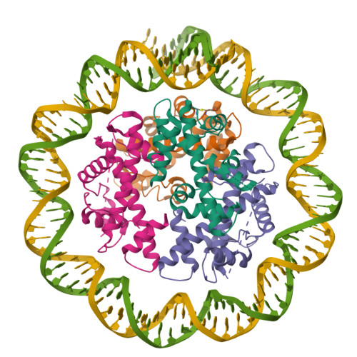 RCSB PDB - 9CVT: Melbournevirus Mini variant Nucleosome