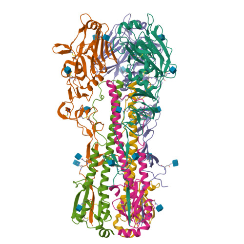 RCSB PDB - 9CXT: Hemagglutinin A/Hong Kong/1/68 produced in GnTI- cells
