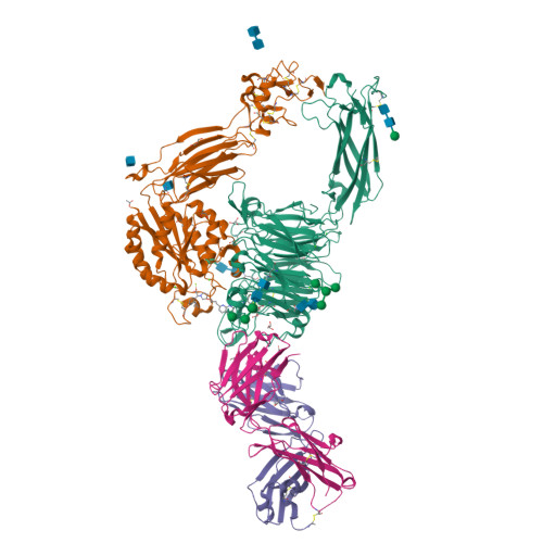 RCSB PDB - 9CZA: Crystal structure of integrin avb6 headpiece in ...