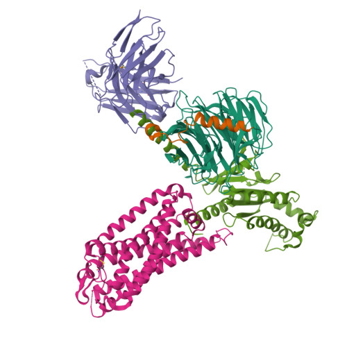 RCSB PDB - 9D0A: CryoEM structure of PAR2 with endogenous tethered ligand.