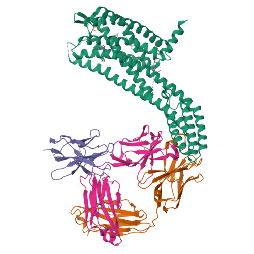 RCSB PDB - 9D3G: Cryo-EM structure of CCR6 bound by SQA1 and OXM1