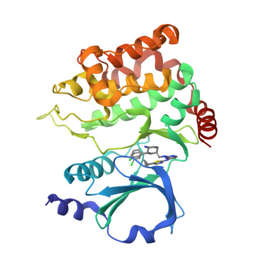 RCSB PDB - 9D4X: Structure of PAK1 in complex with compound 16