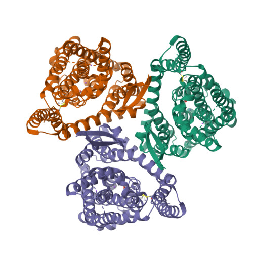 RCSB PDB - 9D66: Human excitatory amino acid transporter 3 (EAAT3) with ...