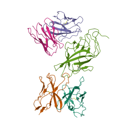 RCSB PDB - 9D6F: Cryo-EM structure of E. coli FimH lectin domain bound ...