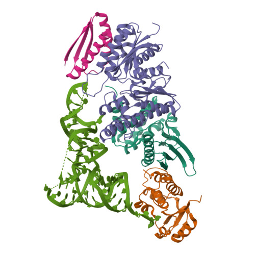 RCSB PDB - 9D85: Structure of the KEOPS complex (Cgi121/Bud32/Kae1/Pcc1 ...