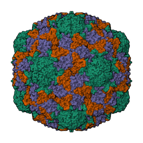 RCSB PDB - 9D8X: Cryo-EM structure of Human Enterovirus D94 empty particle