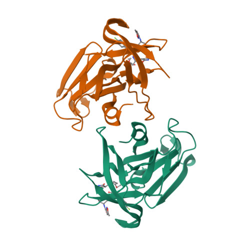 RCSB PDB - 9D9Y: Human norovirus GI.1 Norwalk protease in complex with ...