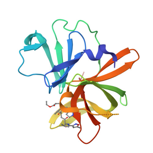 RCSB PDB - 9DA0: Human norovirus GII.4 Houston R112A mutant protease in ...