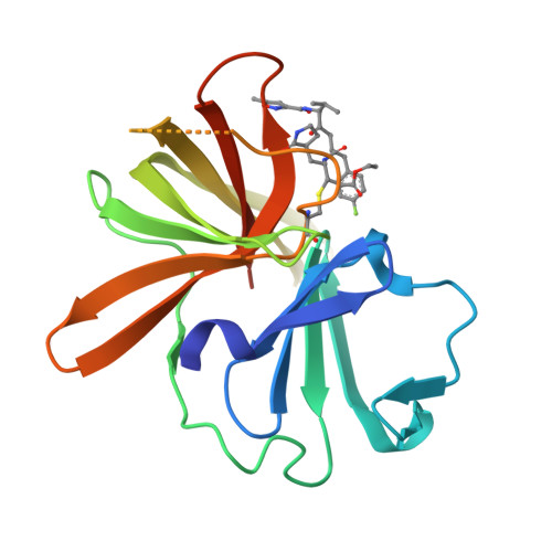 RCSB PDB - 9DA7: Human norovirus GII.4 Houston protease in complex with ...