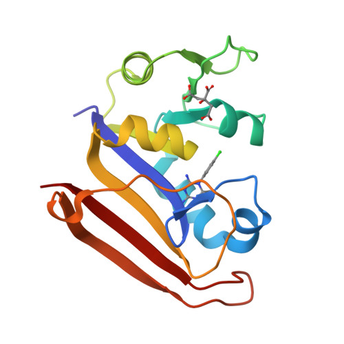 RCSB PDB - 9DAR: Structure of E. coli dihydrofolate reductase (DHFR) in ...