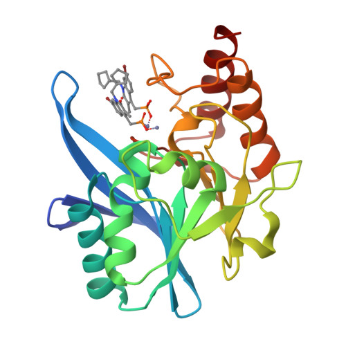 RCSB PDB - 9DB7: Crystal structure of NDM-1 complexed with compound 22