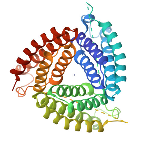 RCSB PDB - 9DBD: Zn-Bound Structure of a Single-Chain Tet4 Variant with ...