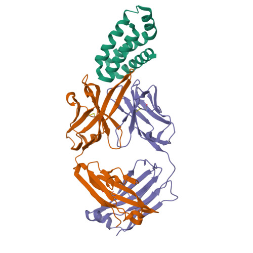 RCSB PDB - 9DBO: Crystal structure of a synthetic Fab (R3E9) in complex ...