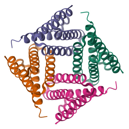 RCSB PDB - 9DBU: Apo Structure of Computationally Designed Homotetramer PW1