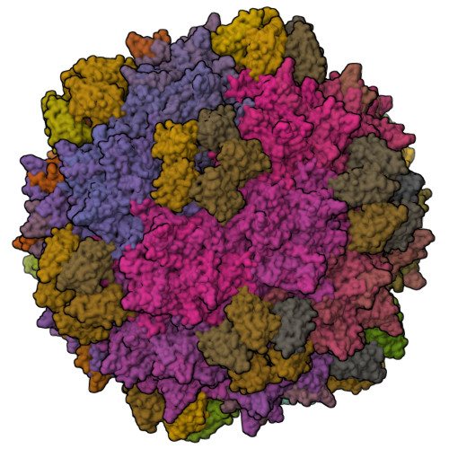 RCSB PDB - 9DC3: AAV8 in complex with the AAVX affinity ligand