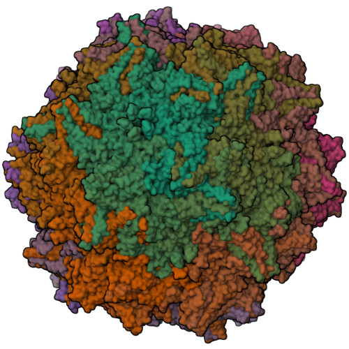 RCSB PDB - 9DCC: The Structure of AAV5 at 55 Degrees Celsius