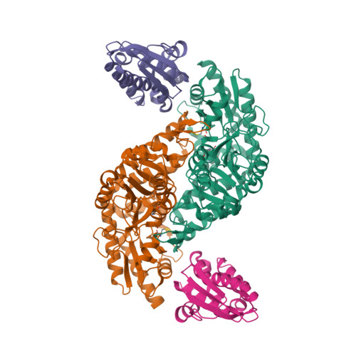 RCSB PDB - 9DDD: SufS-SufU complex from Mycobacterium Tuberculosis