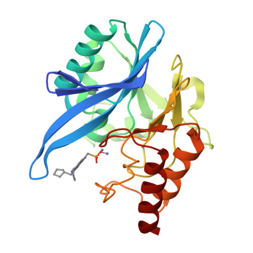 RCSB PDB - 9DE3: Crystal structure of NDM-1 complexed with compound 28