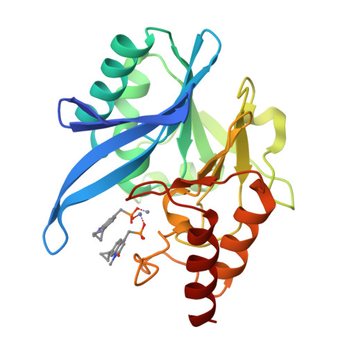 RCSB PDB - 9DEW: Crystal structure of NDM-1 complexed with compound 2