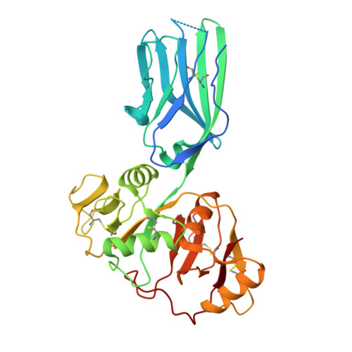 RCSB PDB - 9DFF: G1 domain of human aggrecan bound to hyaluronan